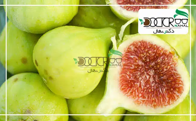 خواص انجیر سیاه و زرد:(20 خاصیت انجیر خشک و تازه) (اردیبهشت 1404 ...